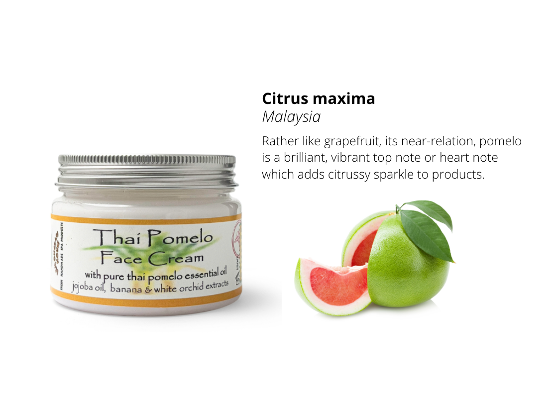 Face Cream – Lemongrass House Philippines