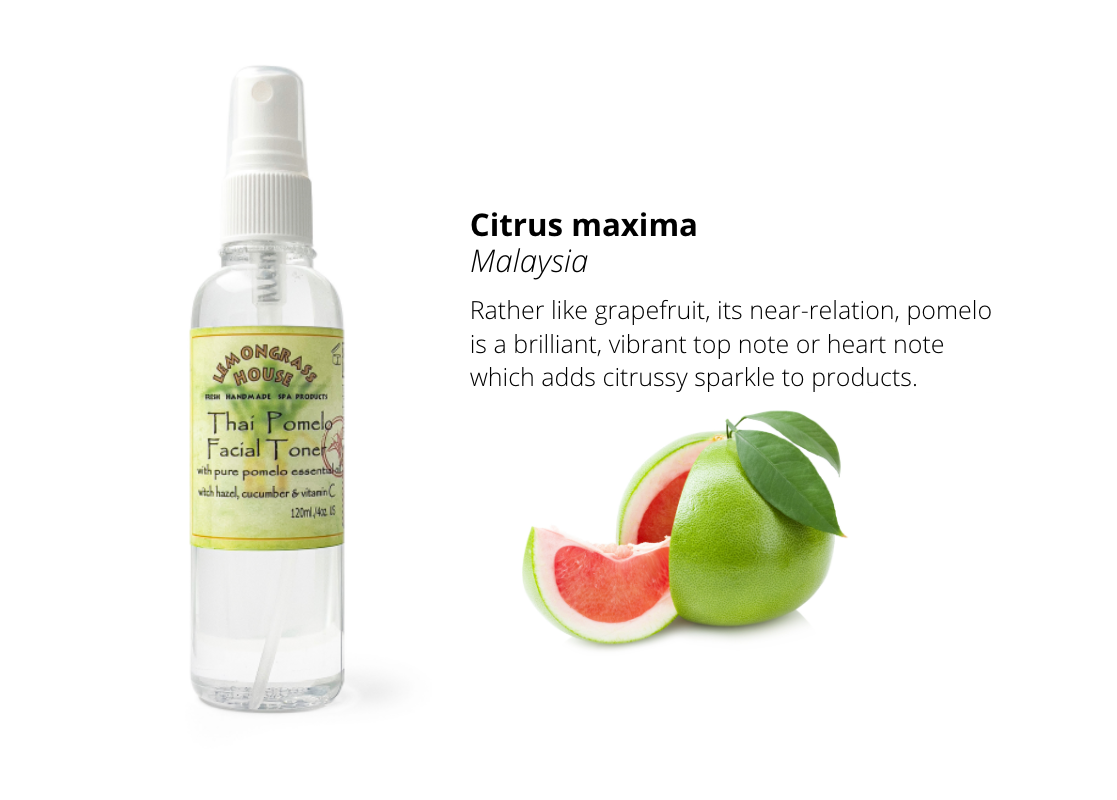 Face Toner – Lemongrass House Philippines